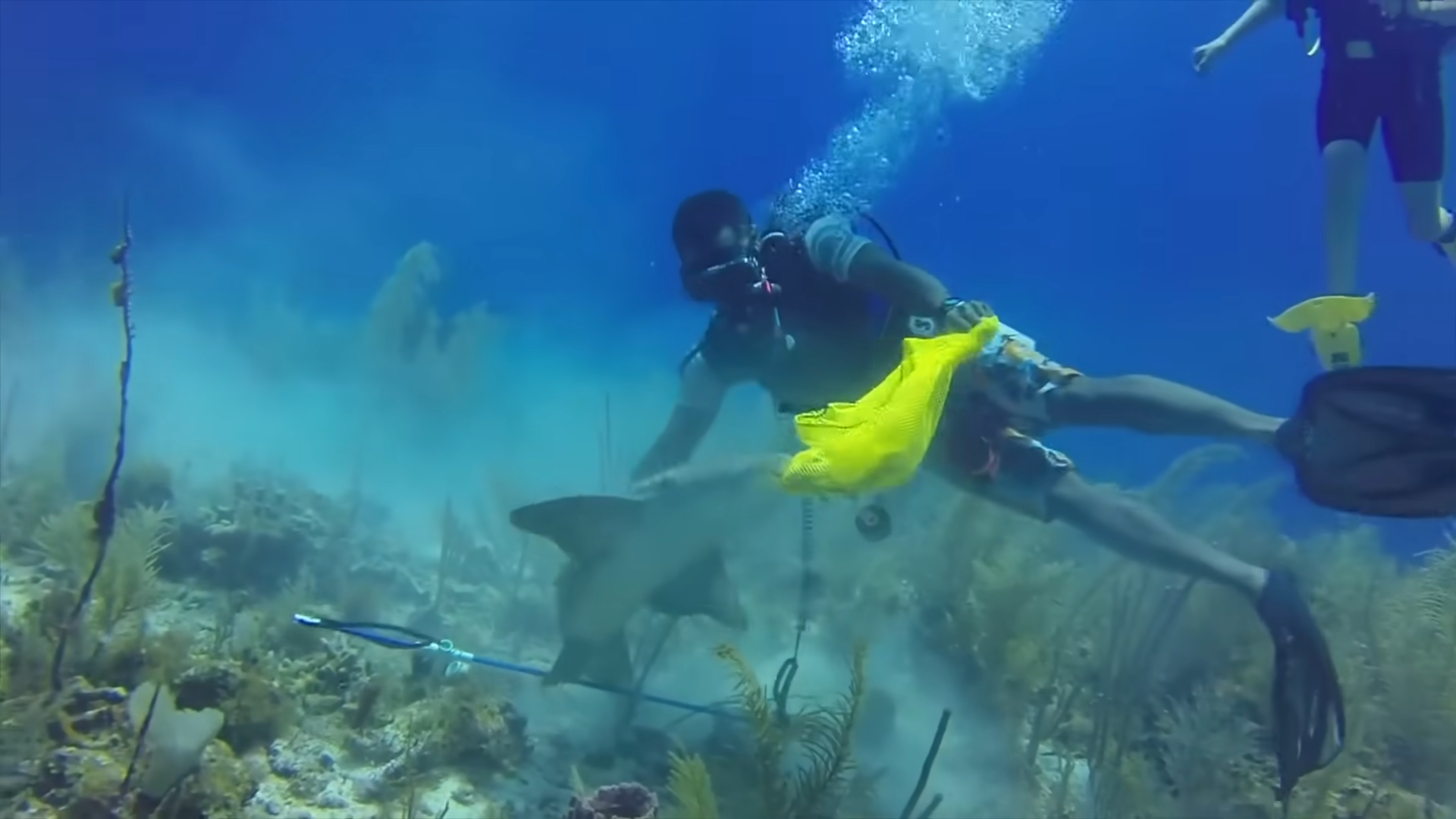 This is the moment it all went wrong, and the divers faced the consequences