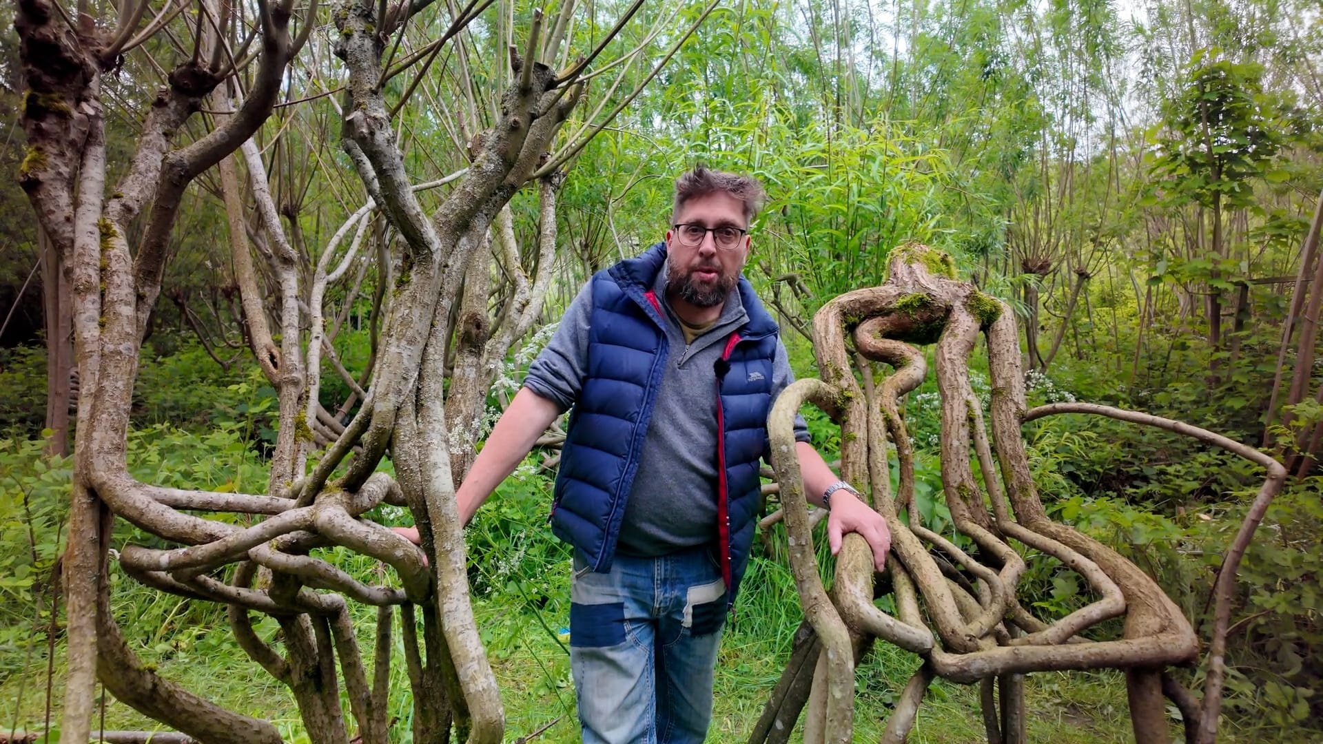 Furniture orchard growing trees into chairs