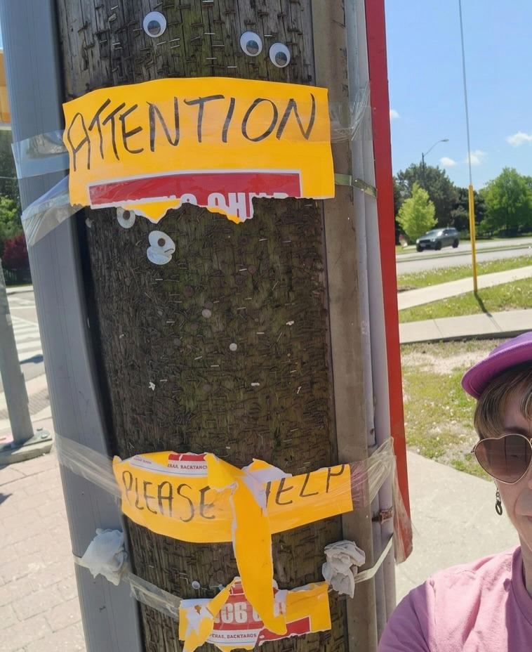 'Cruel' vandals rip down posters for missing Jewish teen girl who ...