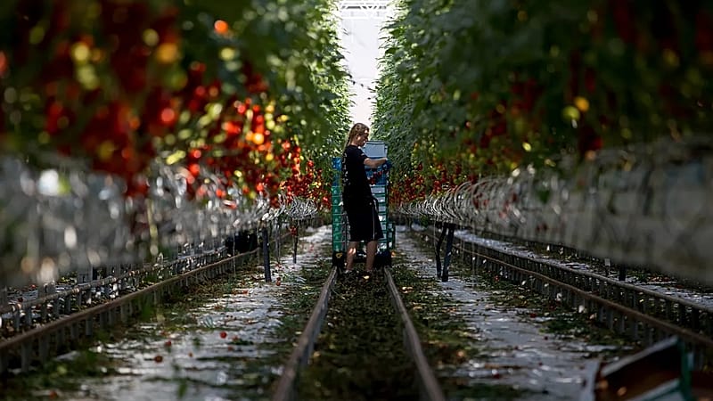 Sixteen EU countries ask for more funds for agriculture and fisheries ...