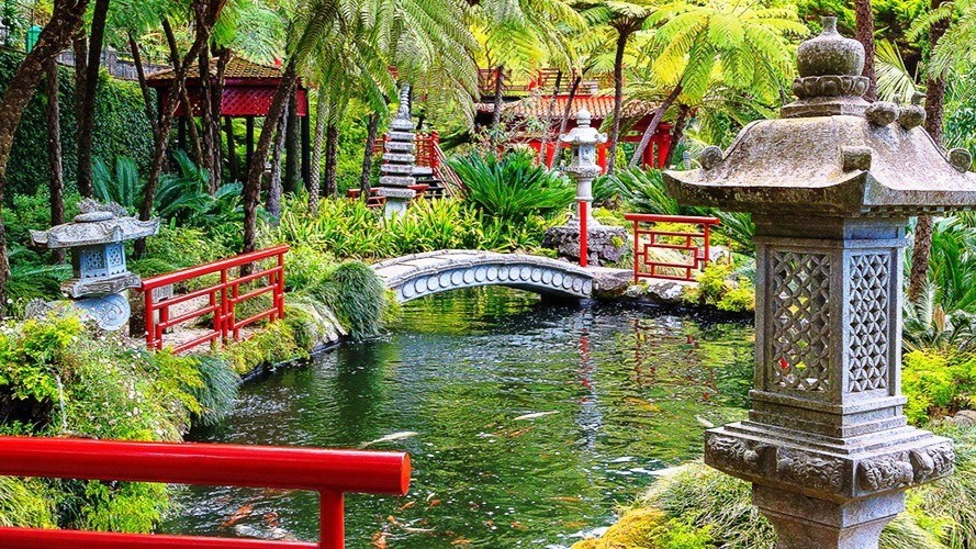A peaceful ride into Madeira’s green wonderland