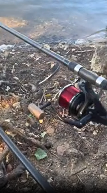 Top bait tips for fishing success