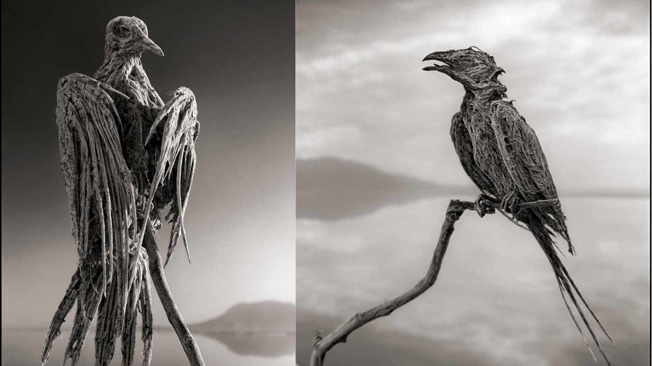 The dead lake: This Tanzanian lake can turn dead animals into stone ...