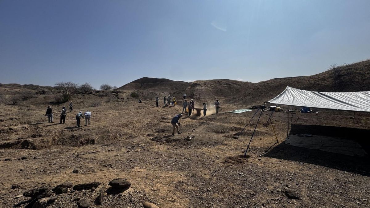 Burnt bones in Ethiopia are the earliest evidence of human cremation ...