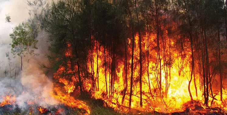 Morocco heatwave raises wildfire risk in several provinces