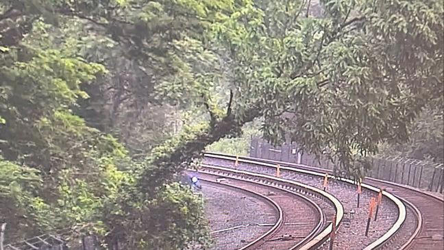 Downed tree causes Metro delays near Arlington National Cemetery