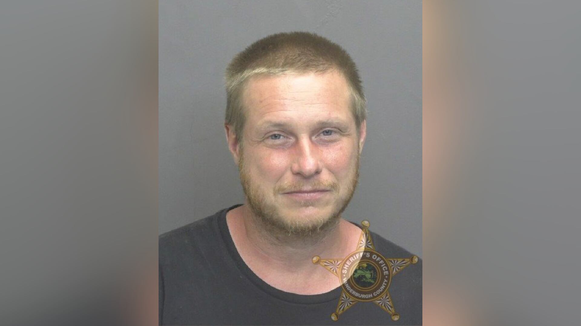 Police: Felon threatens man with gun, tries to hide it in a bush