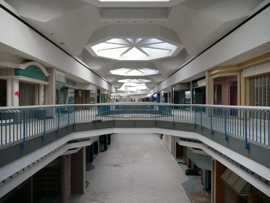 Dead malls are being reborn - and the new purpose is even more troubling