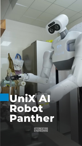 The future of home robots