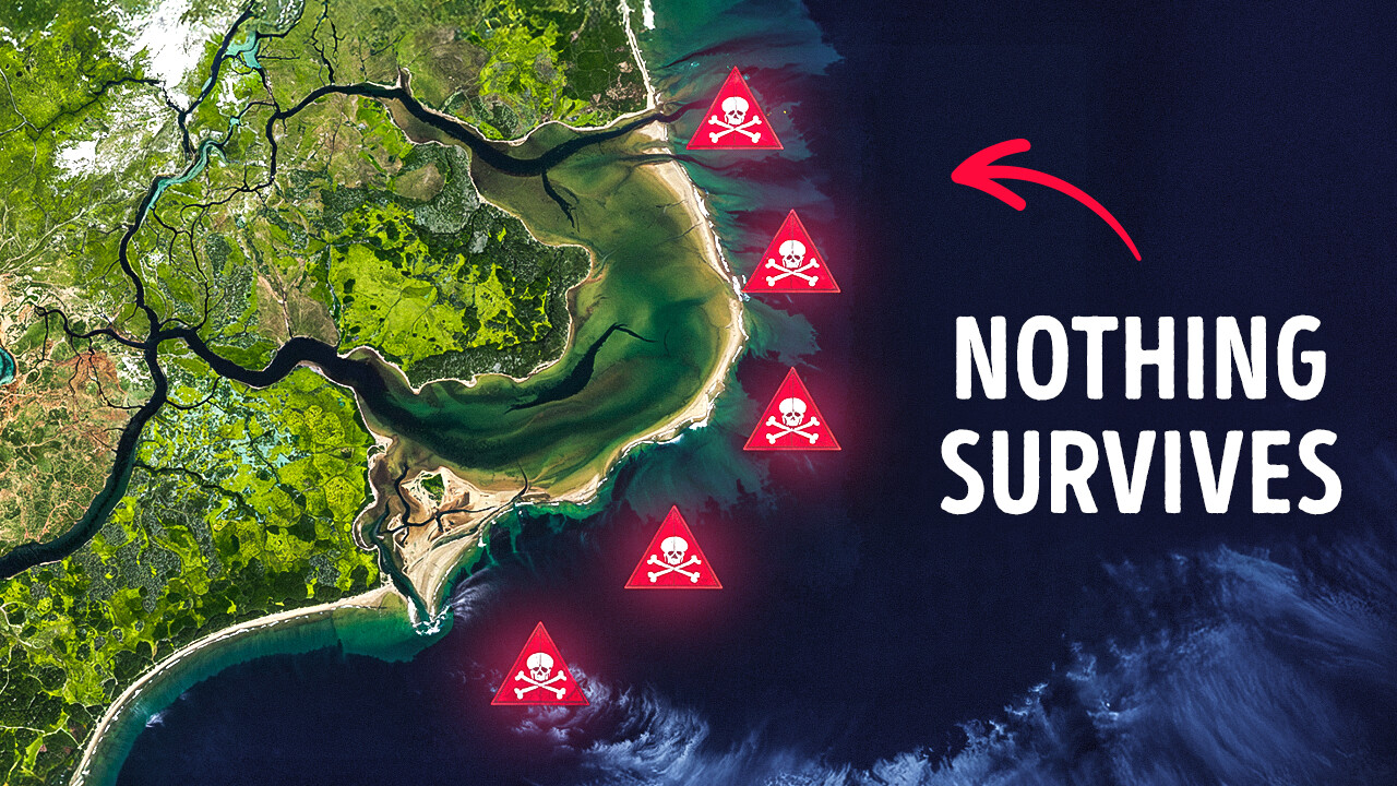 The world's most dangerous shoreline revealed
