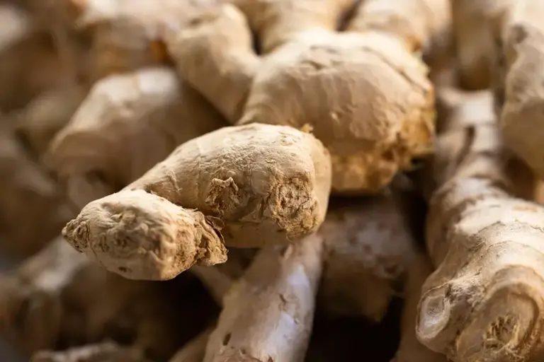 7 expensive spices you can easily grow in a kitchen window