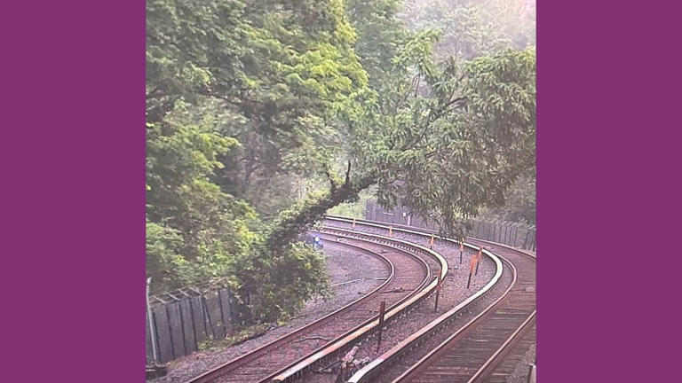 Downed tree near Arlington National Cemetery causes Metro delays during ...