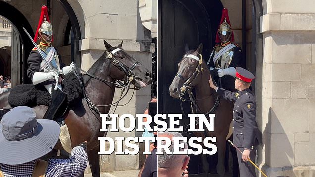King's Guard horse becomes agitated in May Day heatwave