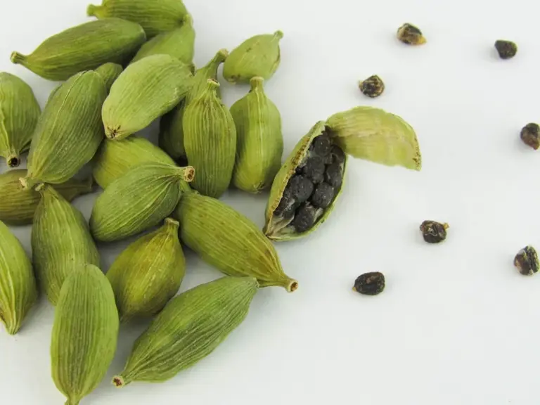 7 expensive spices you can easily grow in a kitchen window