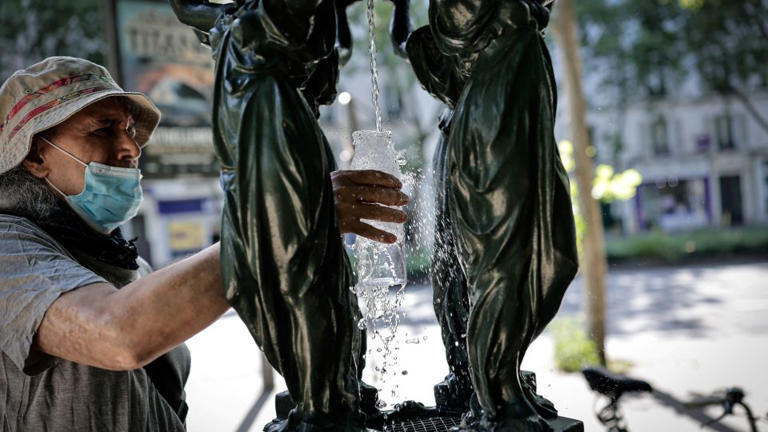 Deadly heat wave, ‘Wasian’ pride, cosmic cannibalism: Catch up on the ...