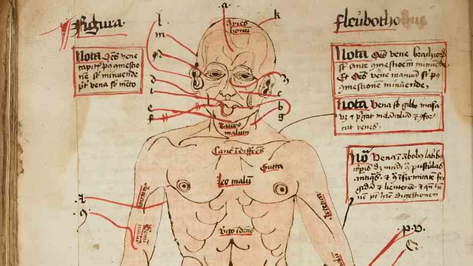 Medieval beliefs that seem completely insane today