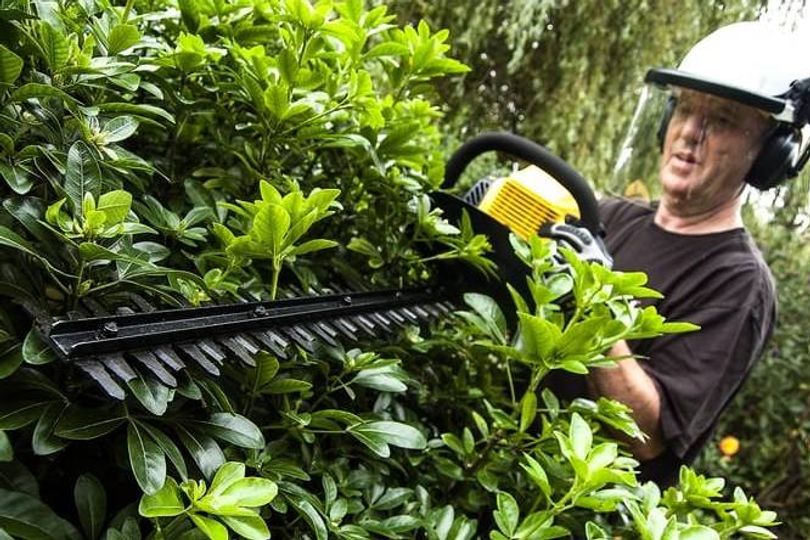 Hedges look 'neat' with £100 off Home Bargains power tool in new deal