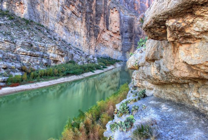Plan your next birdwatching trip at these top US locations