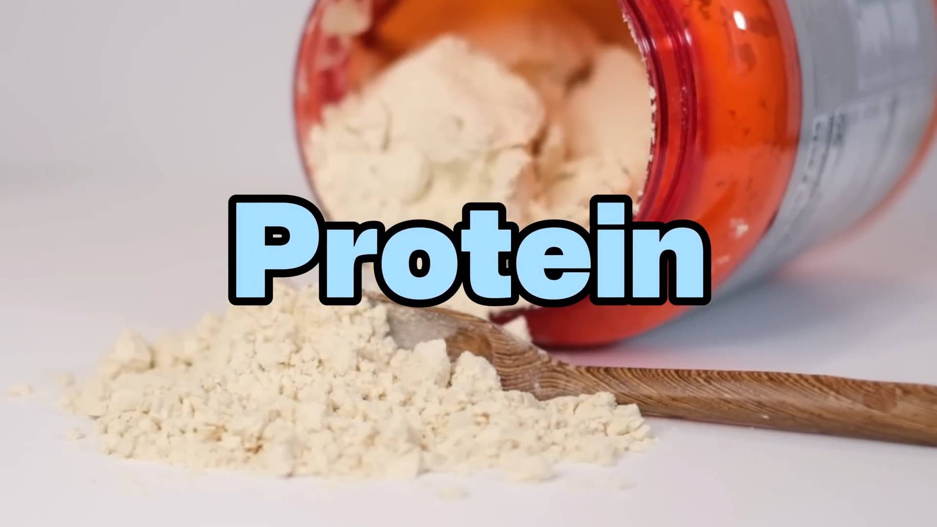 Everything you need to know about protein nutrition explained in just ...