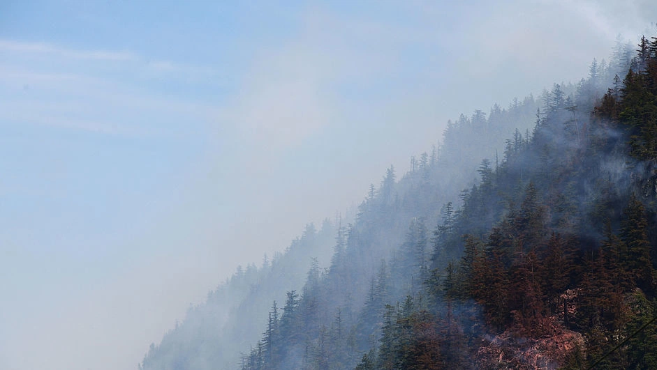Canada launches first national aerial firefighting fleet