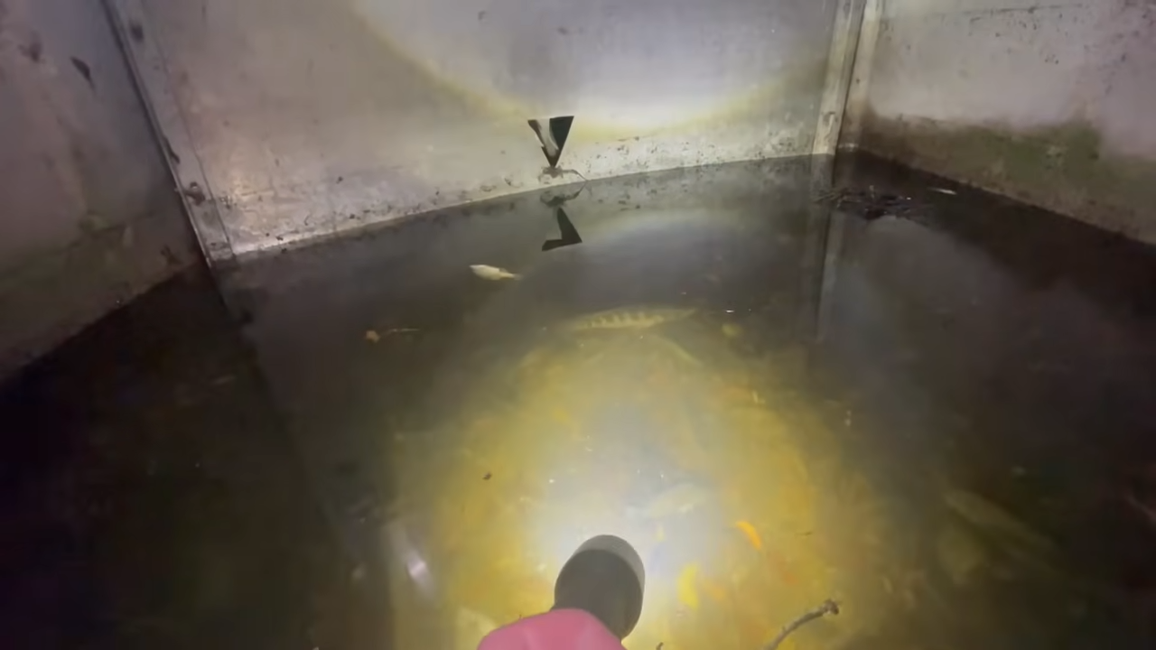 He thought it was just a sewer until he crawled into the flooded sewer ...