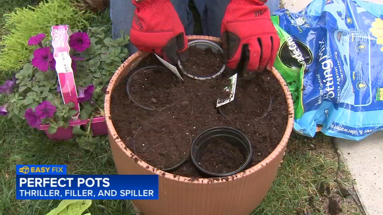 How to make perfect potted plants: Thriller, filler, spiller method