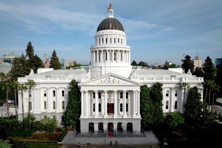 Save Californians thousands — then fire up Sacramento 'wood chipper ...