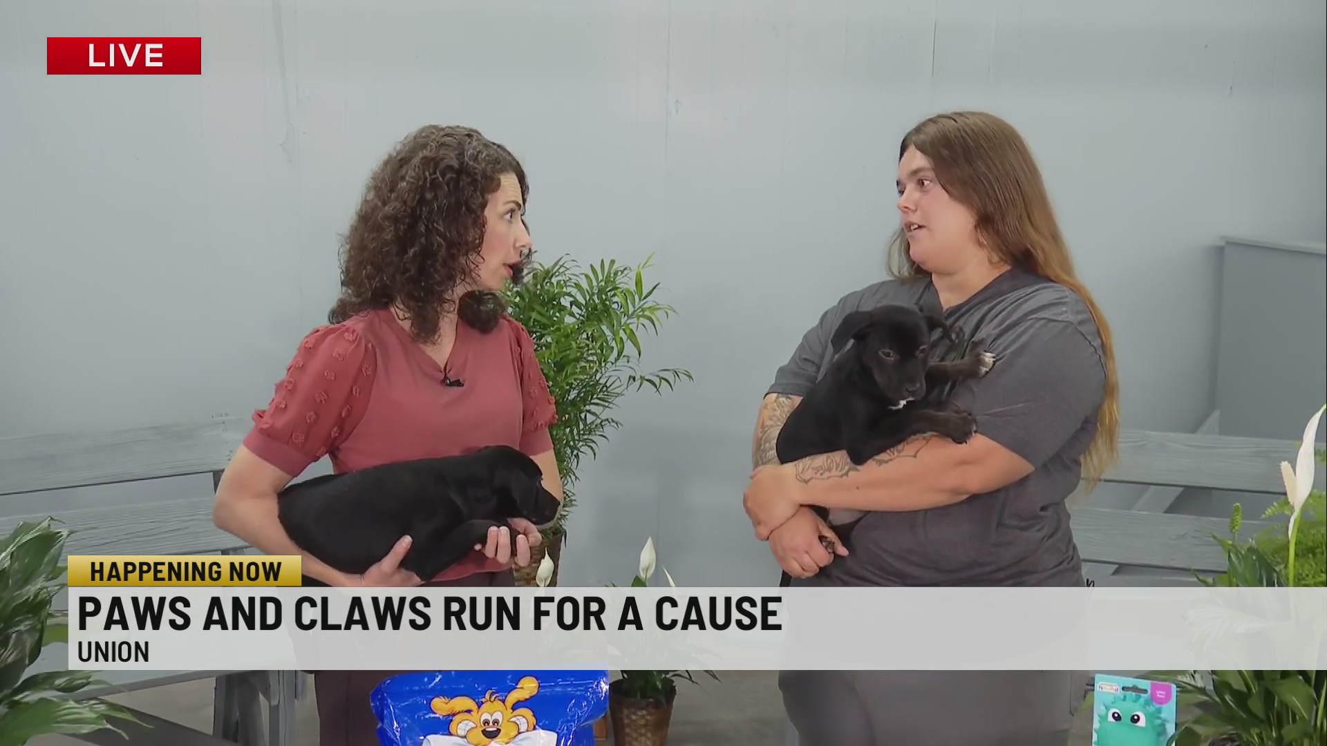 Union County Animal Shelter raises funds for vet expenses, looking to ...