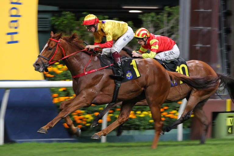 Lyle Hewitson and championship-leading trainer Danny Shum combine at ...