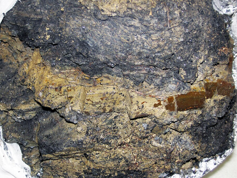 How a microscopic metal trace in 1980 transformed the dinosaur ...