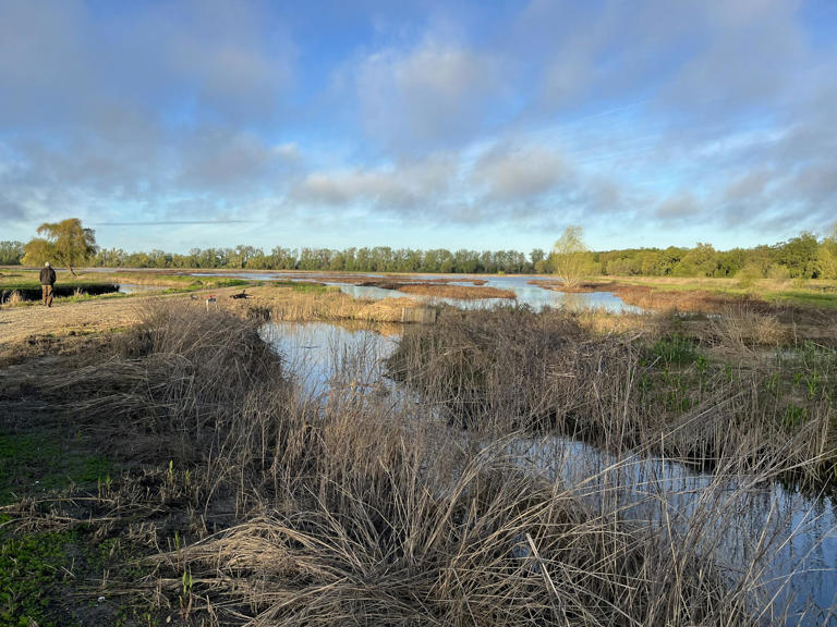 California’s salmon fishery is reopening after a population crash and 3 ...