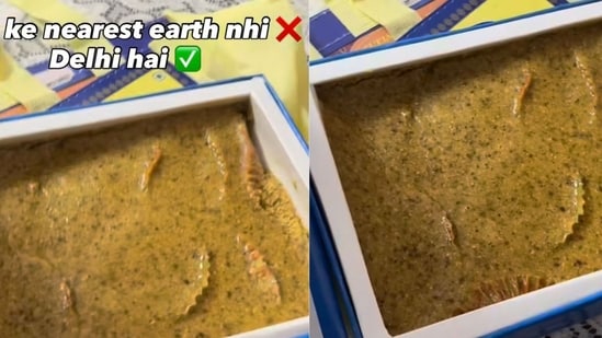 Woman shows ladoos melting in Delhi heat, says 'Inki abh barfi banegi'