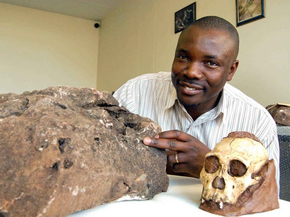 Scientists found a one-meter rock in South Africa, inside was a near ...