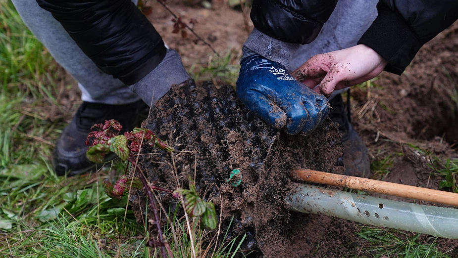 Helix Arts to create 'The People’s Tree' Sycamore Gap memorial