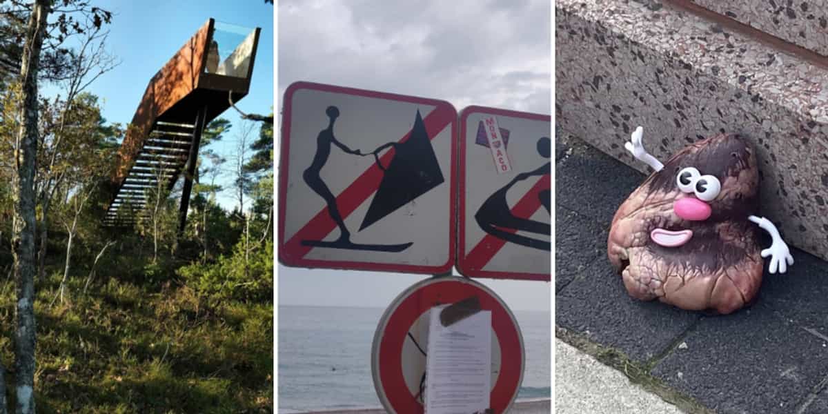 Bizarre posts this week that had the internet asking questions