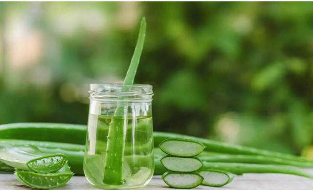 The evolution of natural plants in skincare: A scientific perspective