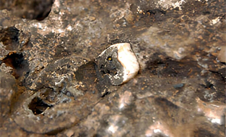 Scientists found a one-meter rock in South Africa, inside was a near ...