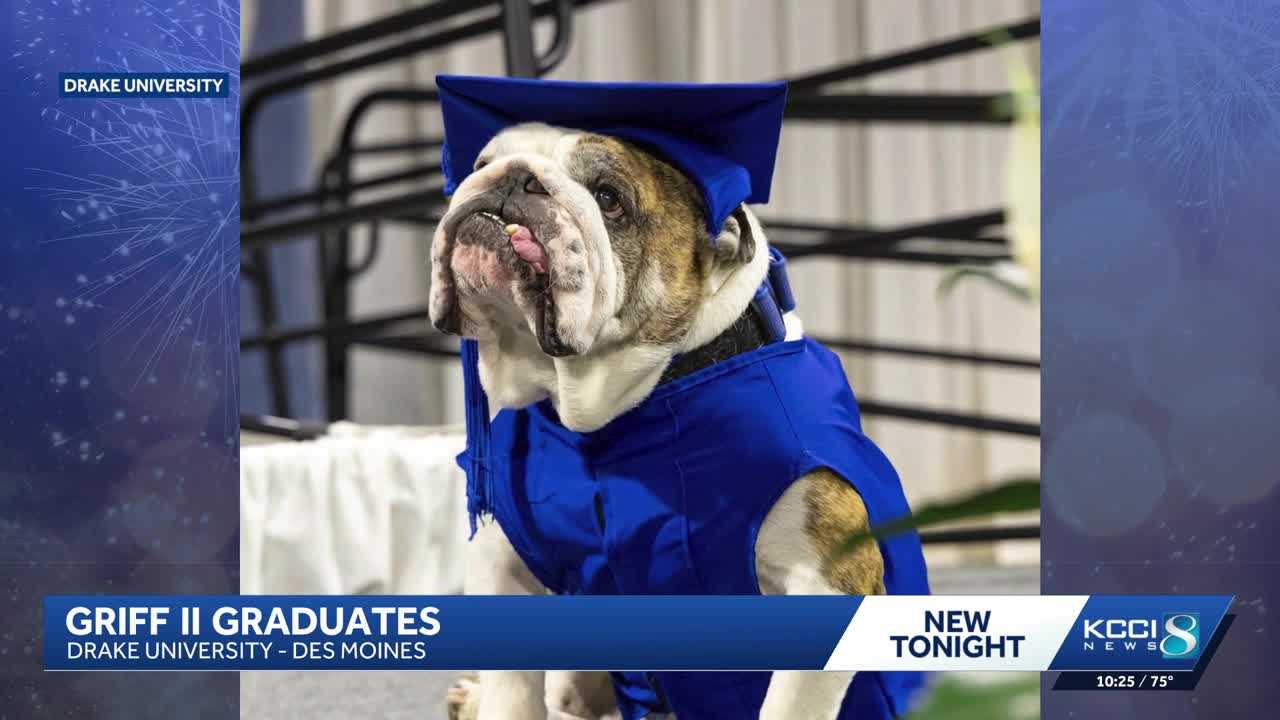 Griff II walks the stage as Drake mascot retirement begins