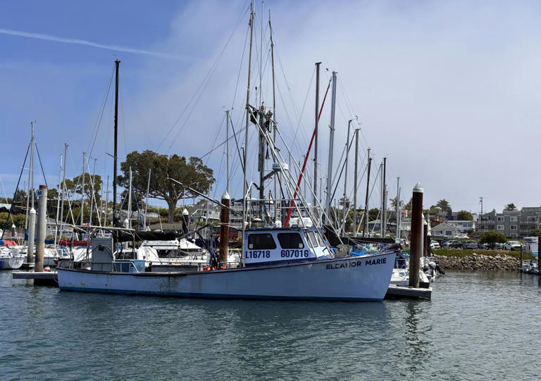 California’s salmon fishery is reopening after a population crash and 3 ...