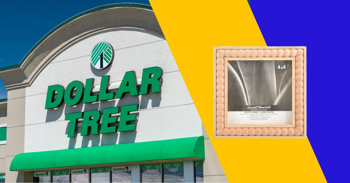 Dollar Tree's $1.25 beaded frame has shoppers wishing more were in ...
