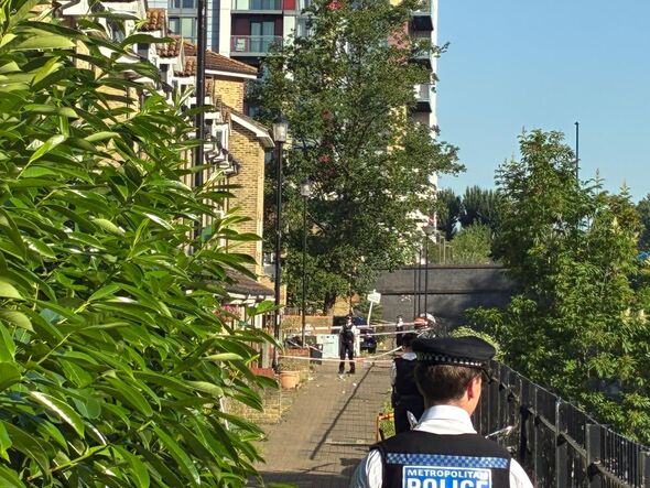 Teen stabbed to death in Hackney as 'individuals with machetes spotted'