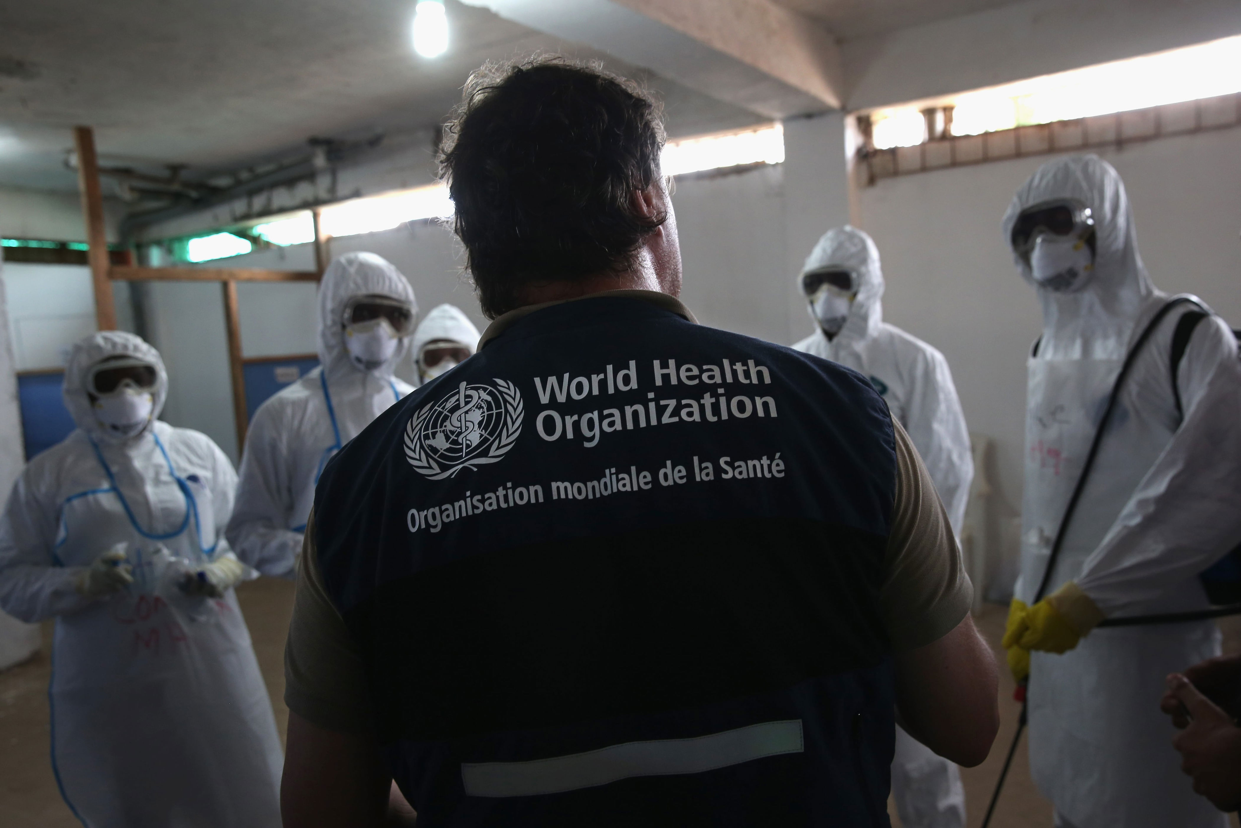 WHO reveals 'huge' death rate from Ebola outbreak