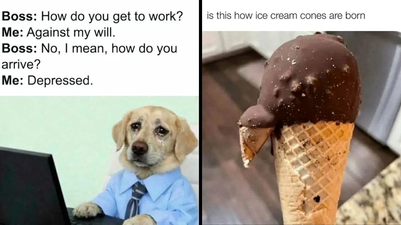 30 hilarious memes to brighten your day