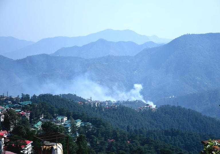 Fire breaks out in Shimla forest amid surging temperatures across ...