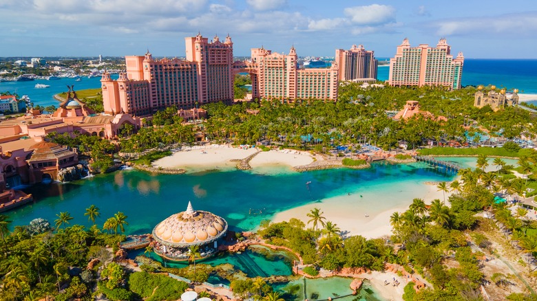 15 resorts where you can snorkel and swim with sea turtles