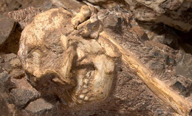 Scientists found a one-meter rock in South Africa, inside was a near ...
