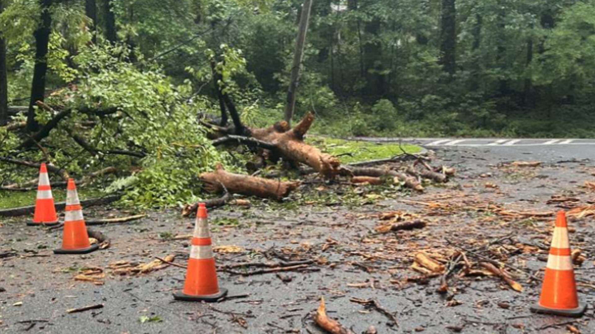 Downed tree hits power line, knocks out power to homes in SE Atlanta ...