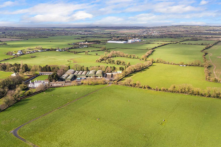 Commercial farm with house and lodge 22km from Dublin on the market