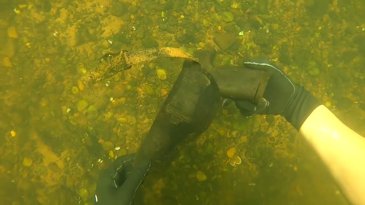 A scuba dive turned serious when a pistol-shaped find came out of the ...