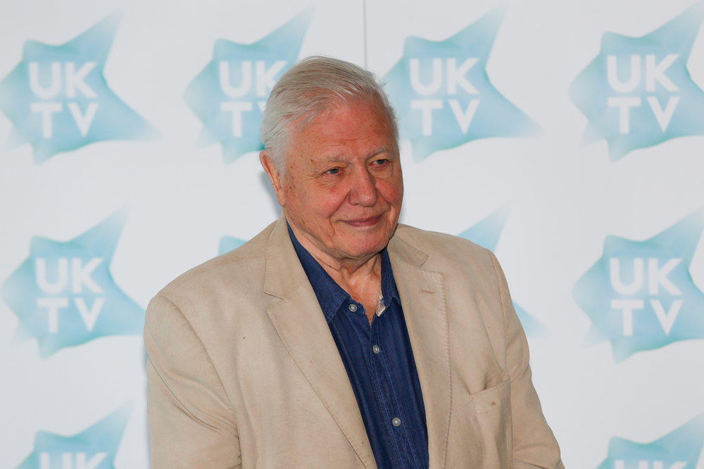 David Attenborough's longevity secrets at age 100